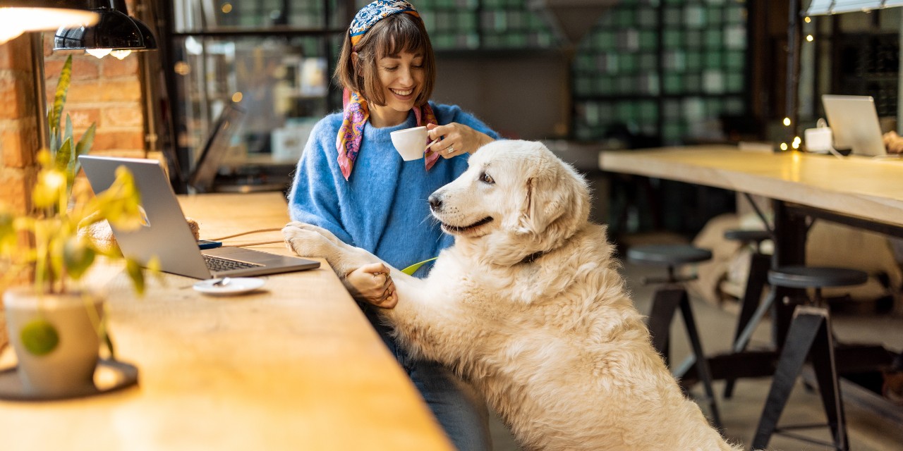 Why Bringing Your Dog to Work is More Than Just a Perk - Werqwise | Co ...